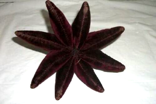 ANTIQUE FRENCH VICTORIAN VELVET PIN CUSHION OCTOPUS HANDMADE 8 LEGS ...
