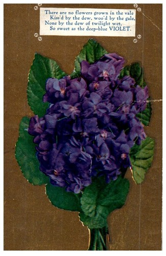 Deep Blue Violet Bouquet Floral Postcard Posted 1910 | eBay