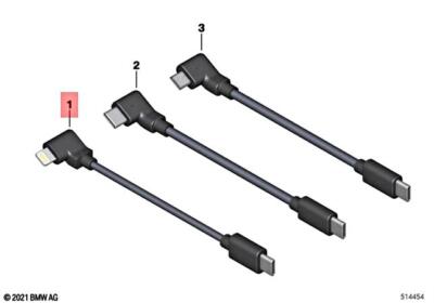 Genuine BMW Adapter Cable IPhone (Lightning) - R18B/Transcontinental ...