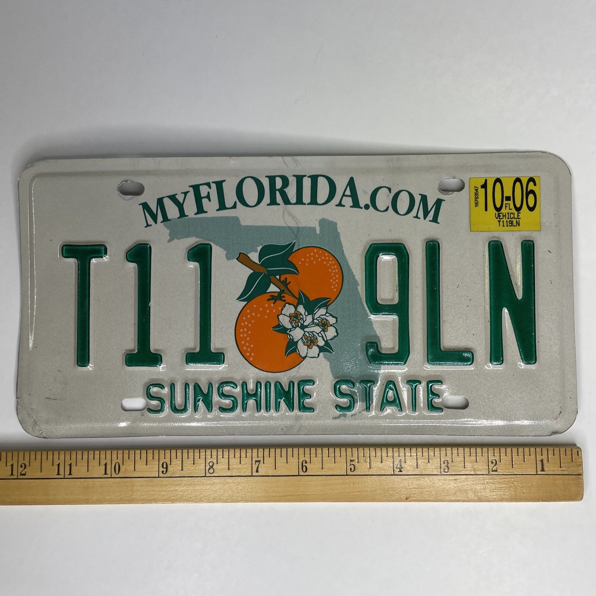 Florida License Plate Oranges Icon Vtg License Plate Topper Deland FLA