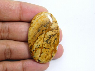 100% Natural African Picture Jasper Cabochon Loose Gemstone 70 Cts. ME ...