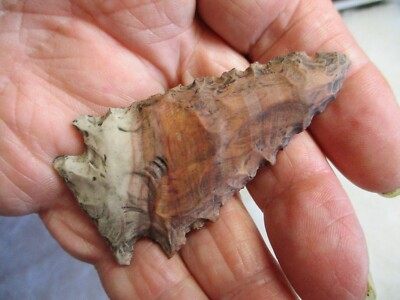 AUTHENTIC NATIVE AMERICAN Arrowhead 3. PINE TREE 3. 1/8. INCHES | eBay