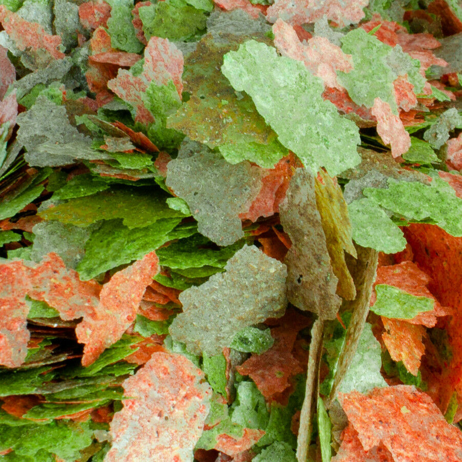 FKC Premium Bulk Cichlid Aquarium Flakes Fish Food Flake Feed AUSTRALIA ...