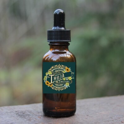 Pure Thuja Extract Thuja Tincture (Thuja plicata) Apothecary Grade ...