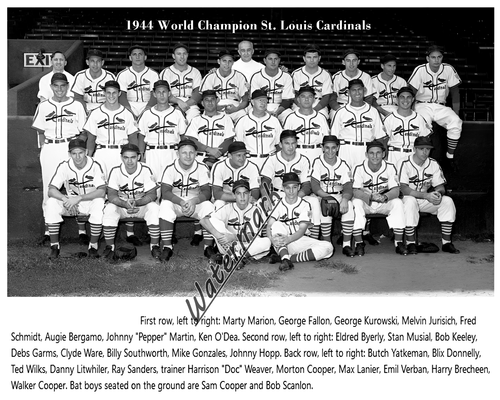 MLB 1944 World Series Champion St. Louis Cardinals Team Picture 8 X 10 ...