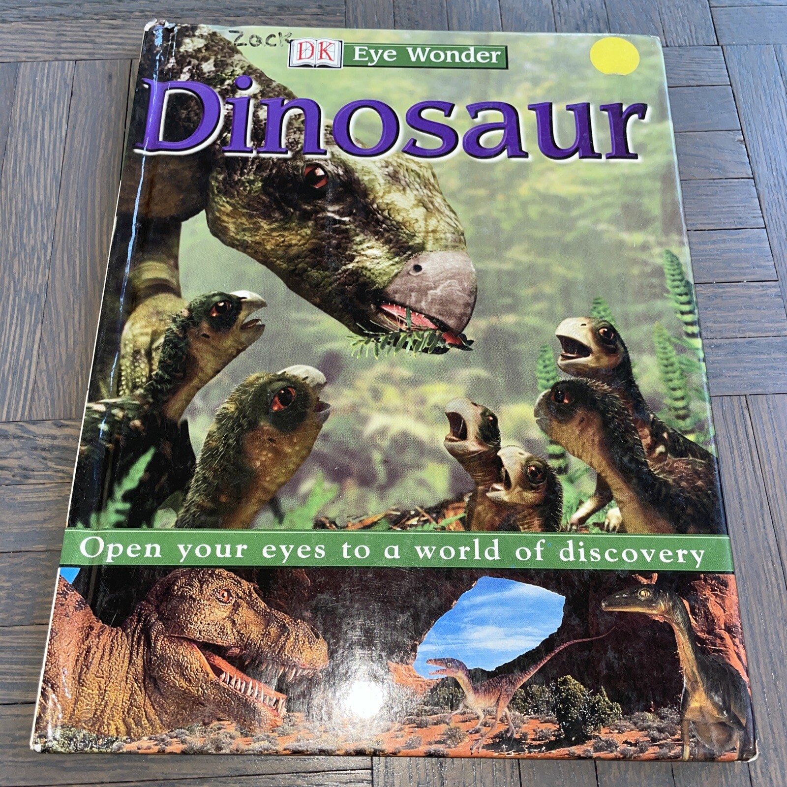 DK Eye Wonder Dinosaur Book 9780789478511| eBay