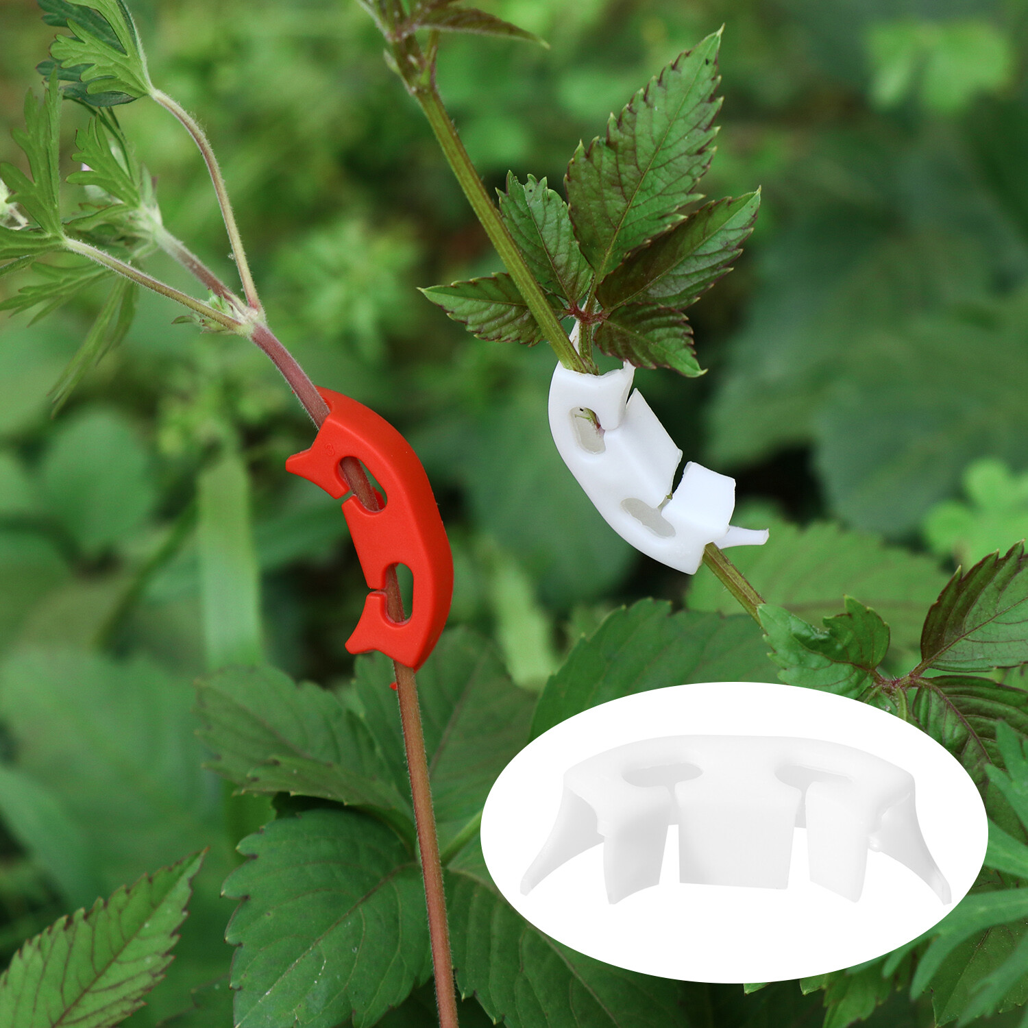 LST Clips Low Stress Plant Training 90 Degree Plant Bender Control The ...