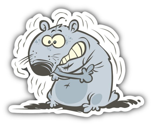 Frozen Hamster Cartoon Car Bumper Sticker Decal 5'' x 4'' | eBay