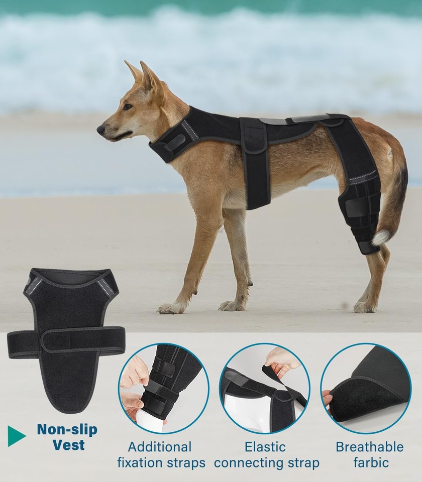 Dog Knee Brace with Vest Adjustable ACL Support for Hind Leg Injuries ...