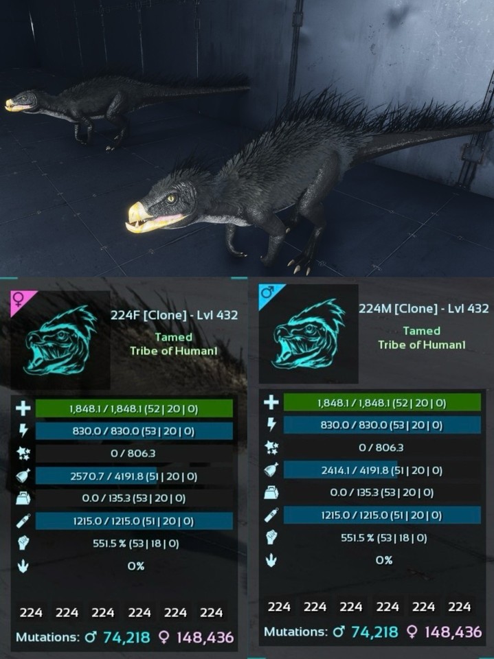 Pegomastax Color Pair Level 400+Clone ARK🦕 Survival Ascended ASA PVE PC ...