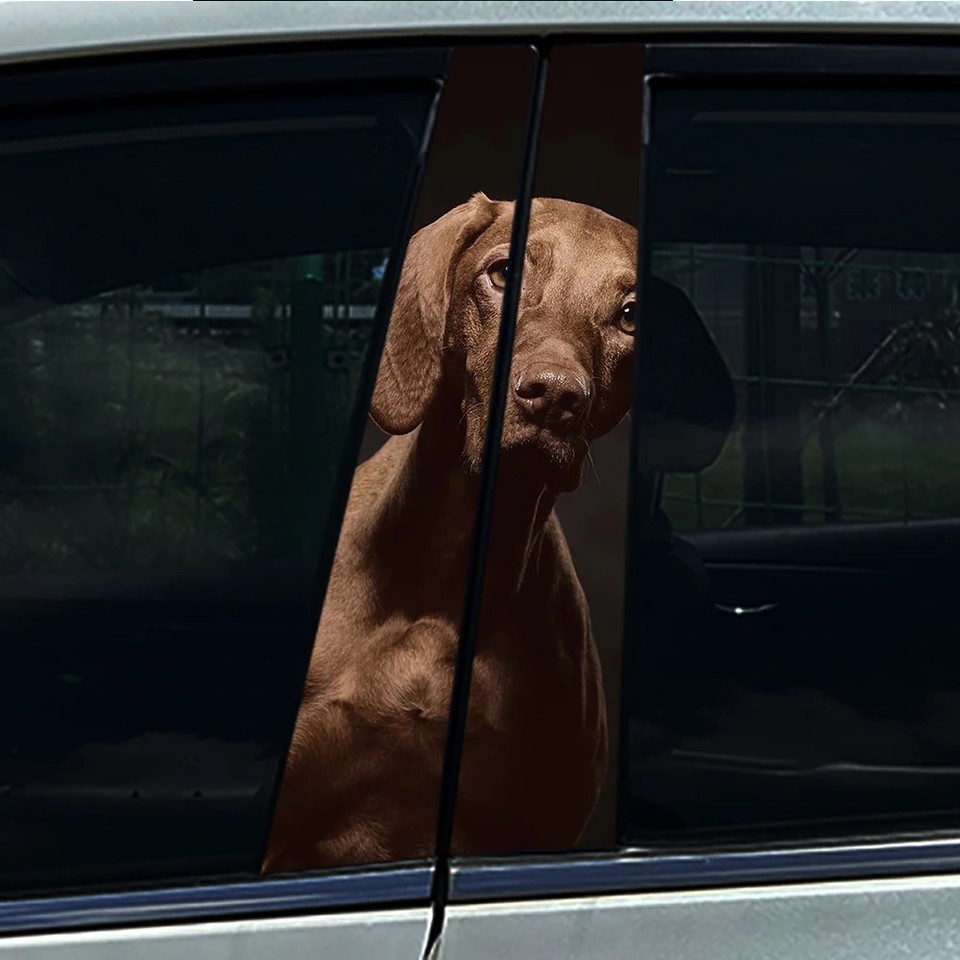2pcs Dachshund Dalmatian Dog Car Center Pillar Sticker B Pillar ...