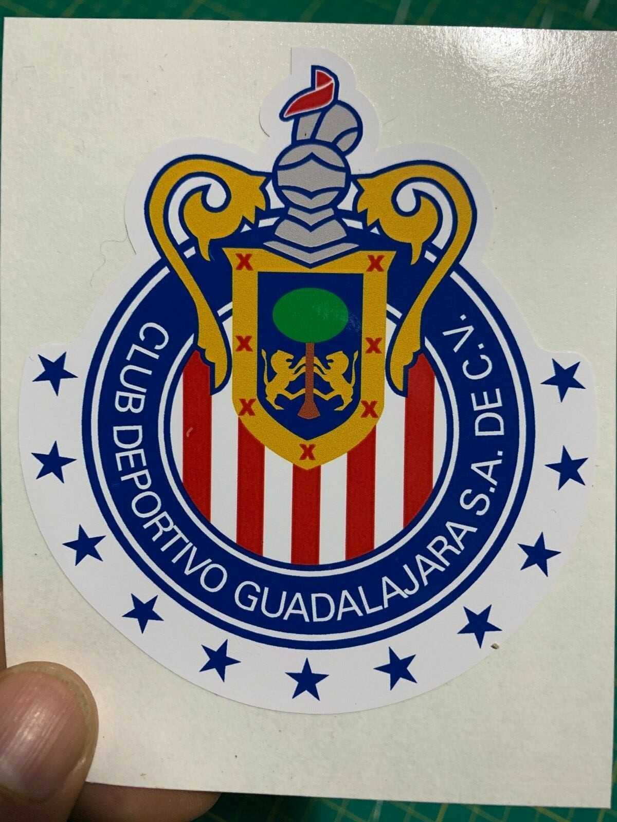 Chivas Rayadas Mexico Sticker Decal Guadalaja Liga MX Futbol | eBay