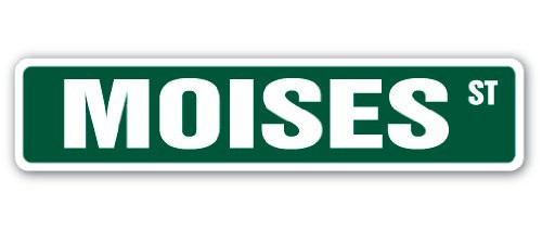 Moises Street Sign Childrens Name Room Sign | Indoor/Outdoor | 30" Wide ...