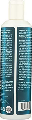 Jason Natural Tea Tree Normalizing Shampoo (17.5 fl oz) for sale online ...