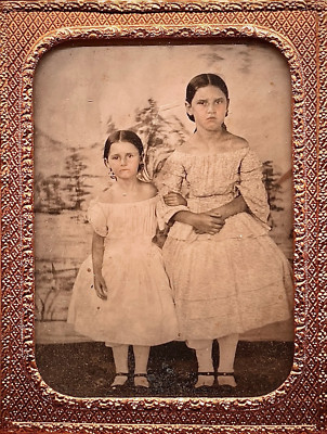 LOVELY 1/4 PLATE AMBROTYPE - TWO TINTED SISTERS IN A MINT THERMOPLASTIC ...