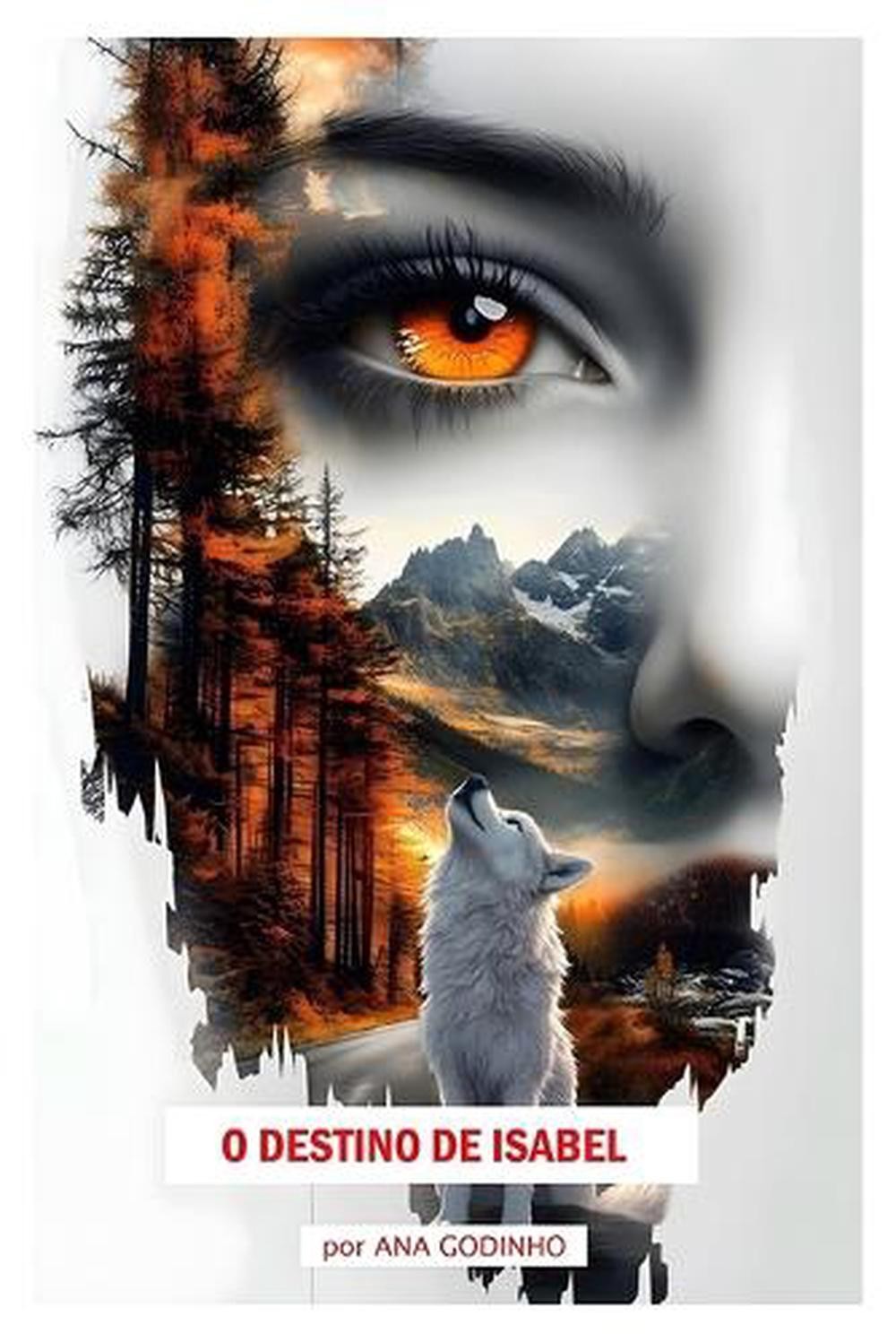 O destino de Isabel by Ana Godinho (Portuguese) Paperback Book | eBay UK
