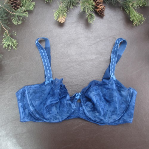 Paramour Bra 38D Blue Unlined Underwire Adjustable Clasp Back | eBay