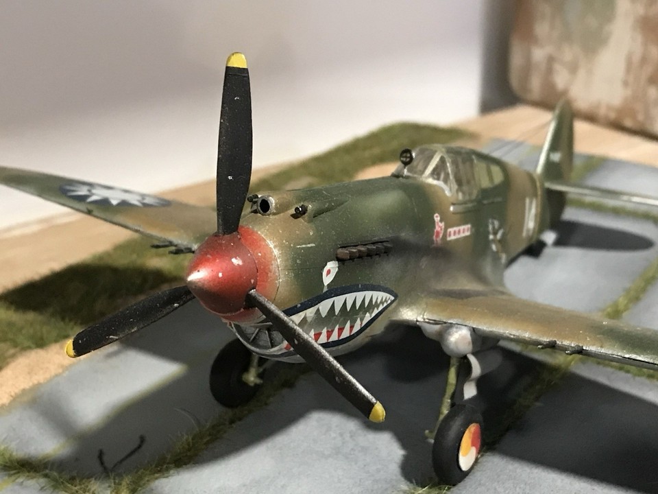 Built Model Curtis P-40 Tiger shark “Flying Tigers” | eBay
