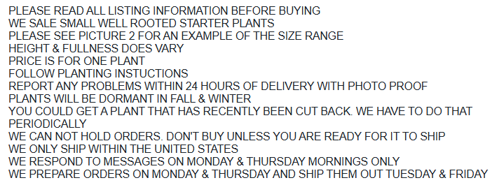 Lacatan Musa- Live Banana Tree-SMALL ROOTED STARTER PLANT-Fruits in 8 ...