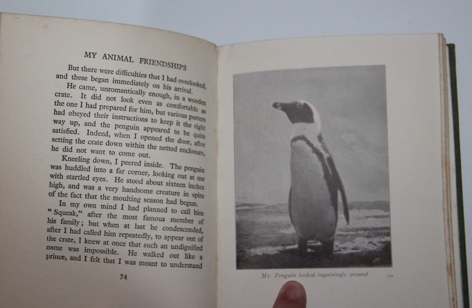 Kesteven And Grantham Girls’ School Audrey Asher 1932 (Margaret ...