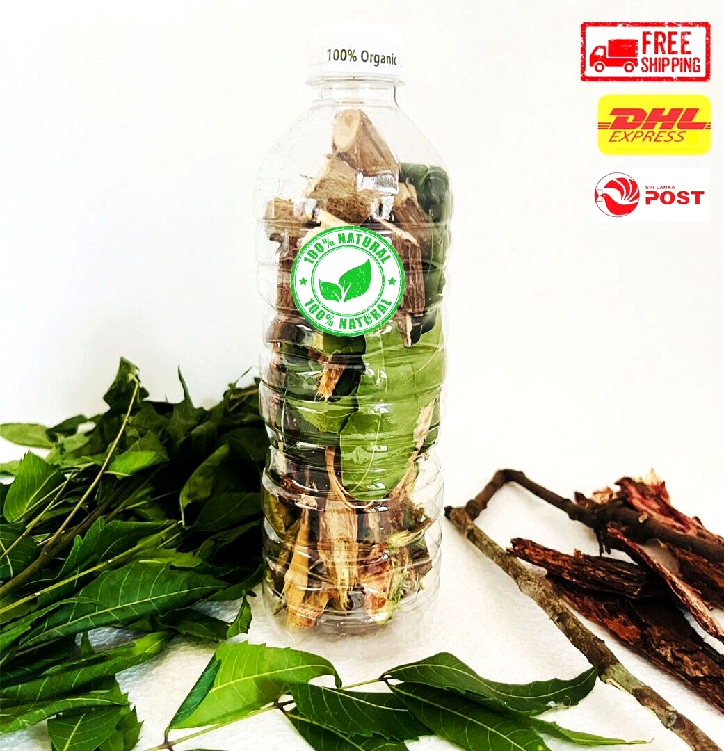 Neem Azadirachta Indica Uses And Benefits Dmr