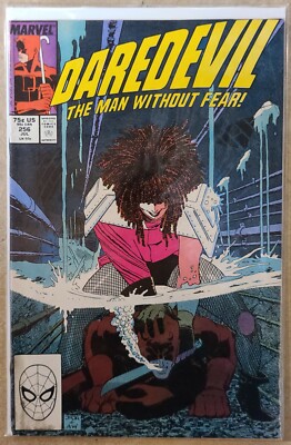 Daredevil # 256 Marvel 1998 3rd App. of Typhoid Mary VF (GC) (OH) | eBay