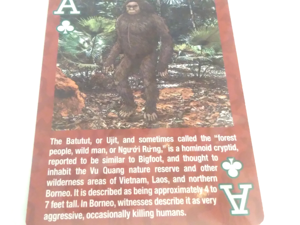Cryptid Creatures, Playing Card, Batutut, Near Mint To Mint Condition ...
