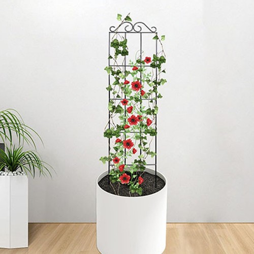 Plant Climbing Trellis Metal Flower Plant Support Frame for Indoor ...