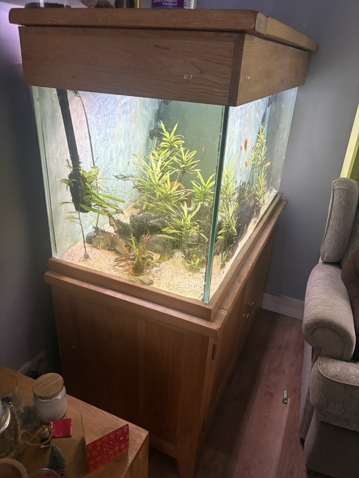 300lt Aqua Oak Aquarium Cabinet with fluval F6 filter. Please read ...