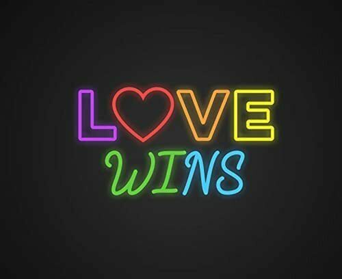 24"x13.8" Love Wins Flex LED Neon Sign Light Party Gift Club Bar ...