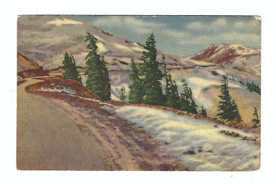 Colorado Timberline in the Rockies Old Vintage Postcard | eBay