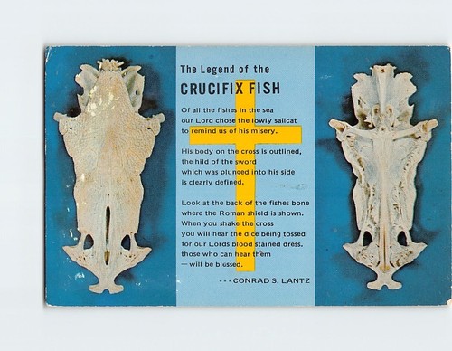 Postcard - The Legend of the Crucifix Fish | eBay