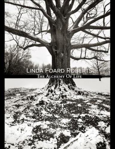 Linda Foard Roberts: Passage by Michelle Lanier (2017, Hardcover) for ...