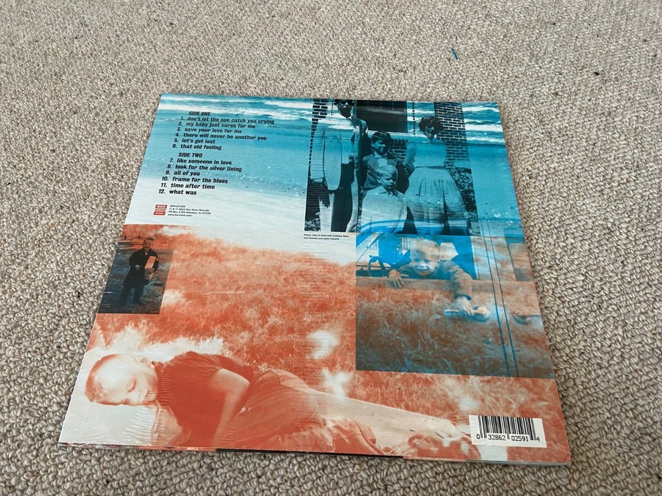 Alex Chilton - Songs From Robin Hood Lane Vinyl (new/sealed) | eBay