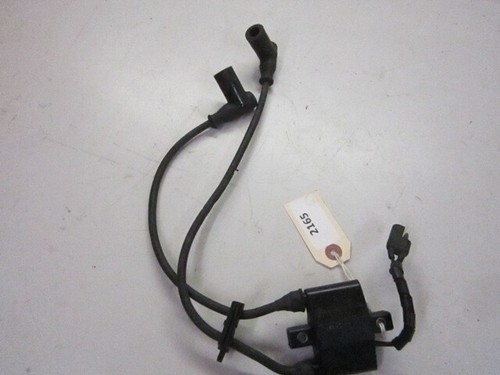 Arctic Cat Ignition Coils - 2001 Mountain Cat 800 - 3005-381 / IG3781 ...