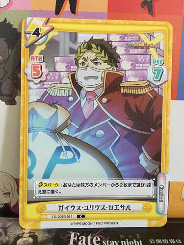 FG/001B-014 Gaius Julius Caesar C Rebirth for you Fate Grand Carnival ...
