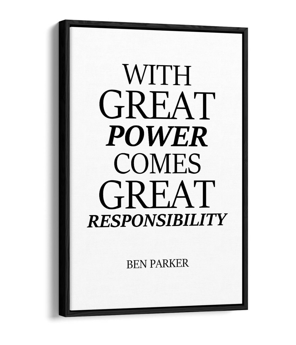 With Great Power Comes Great Responsibility Quote Amazon.com: Voltaire
