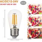 12volt LED Light Bulb 4W Edison Filament Vintage ac/dc12V 24V Low ...