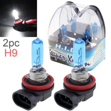 Toshiba OEM 12v21w W21w Halogen Bulbs (pair) for sale online | eBay