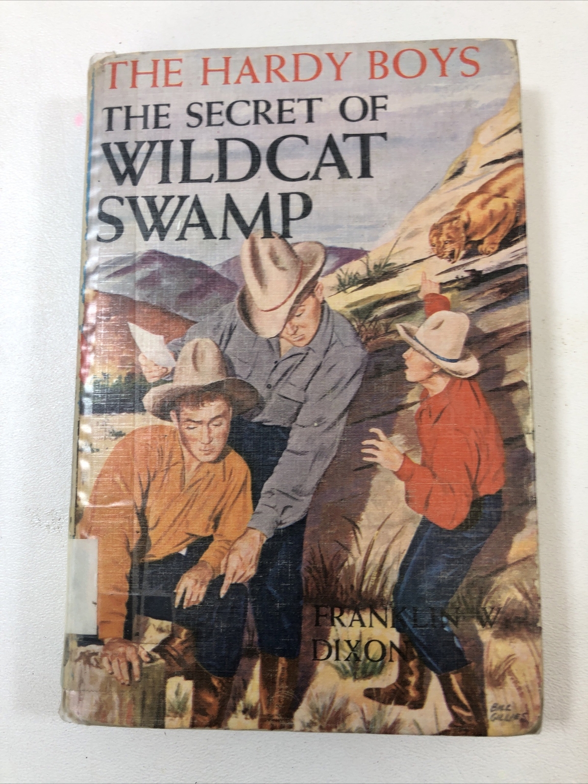 Hardy Boys Series #31 The The Secret of Wildcat Swamp - Dixon ...