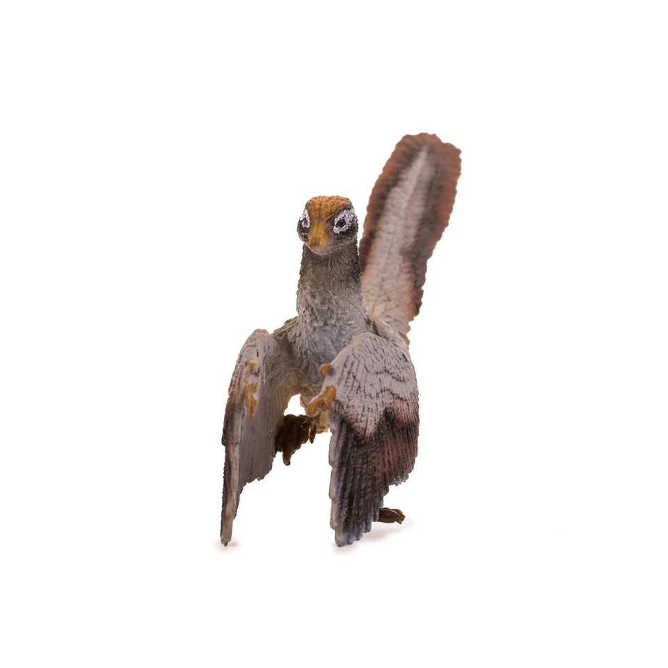 PNSO rare Archaeopteryx kinder Dinosaur Figure kids education museum ...