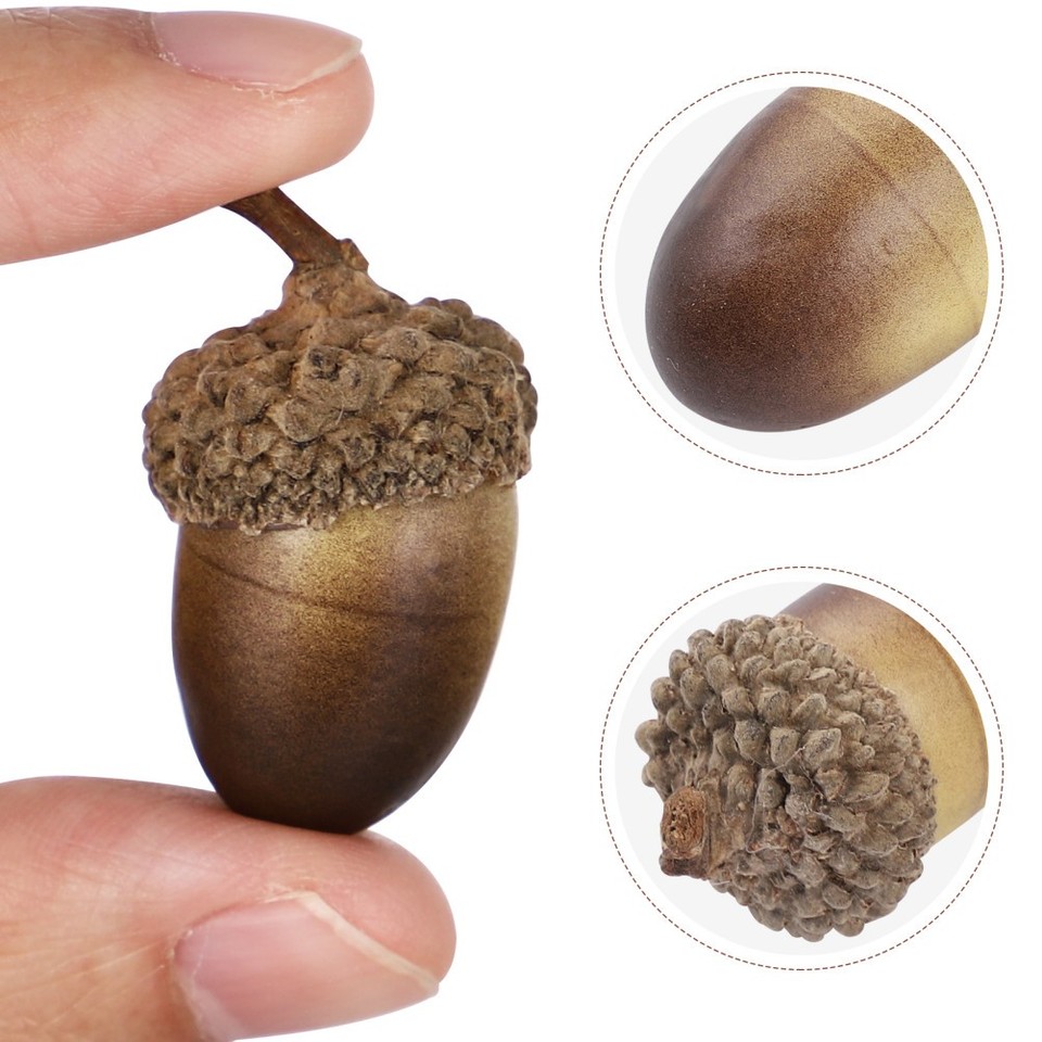 20 Pcs Lifelike Simulation Acorn Set Artificial for Wedding Home Decor ...