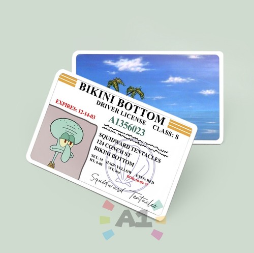 SpongeBob - Squidward Driver License Printed PVC Custom Card Fun Gag ...