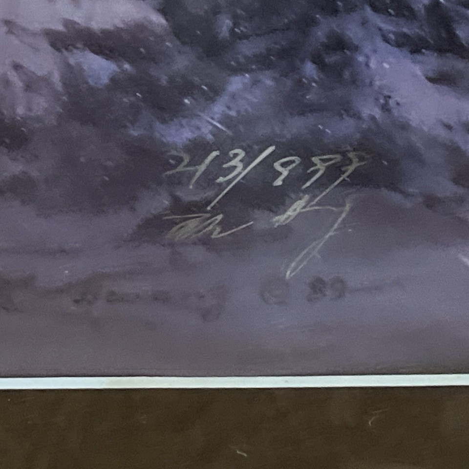 Print Alaskan Huskey Dog Sled By TOK HWANG SIGNED framed 28.5” x 24” | eBay