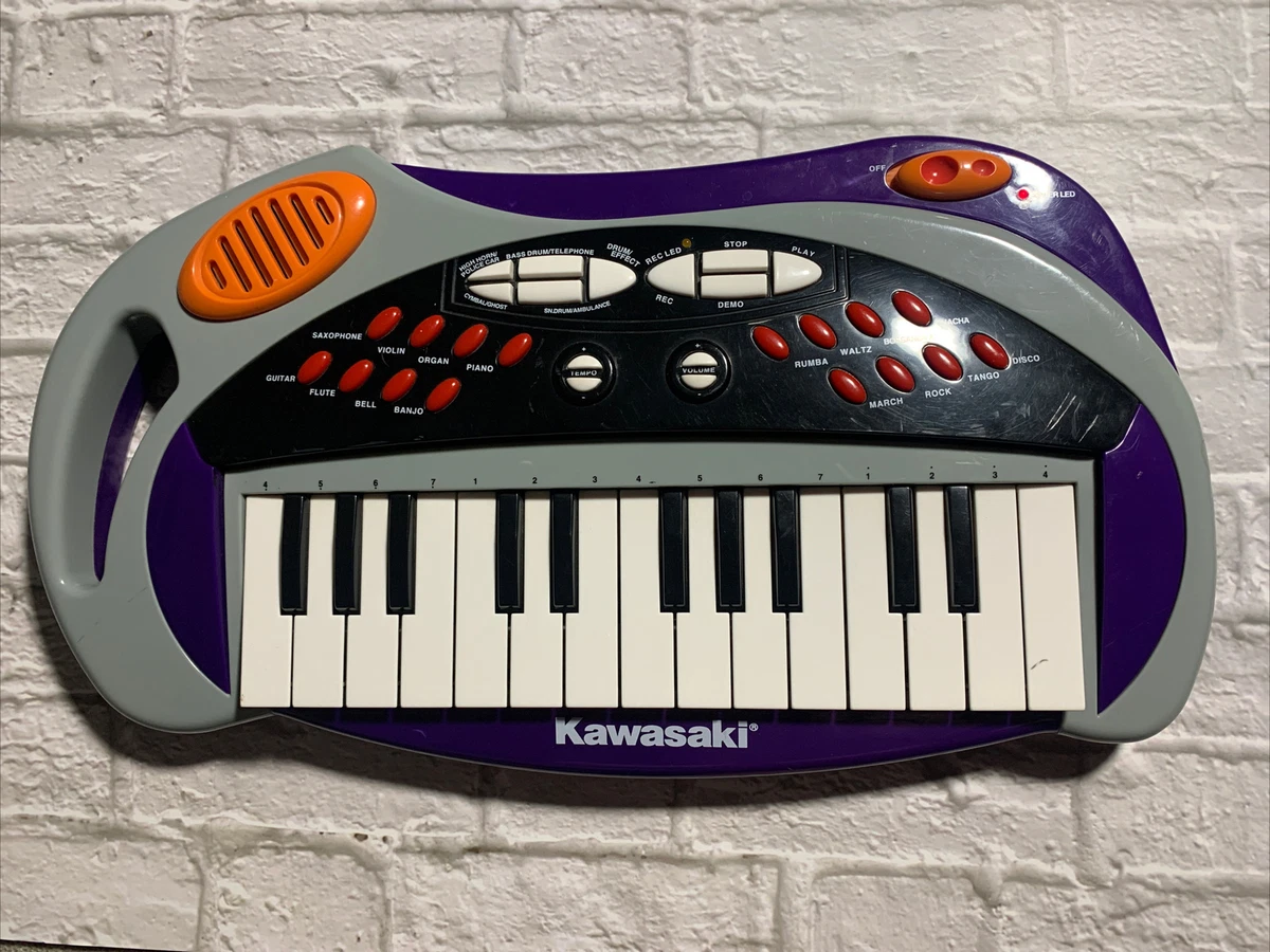 Purple Keyboard Instrument