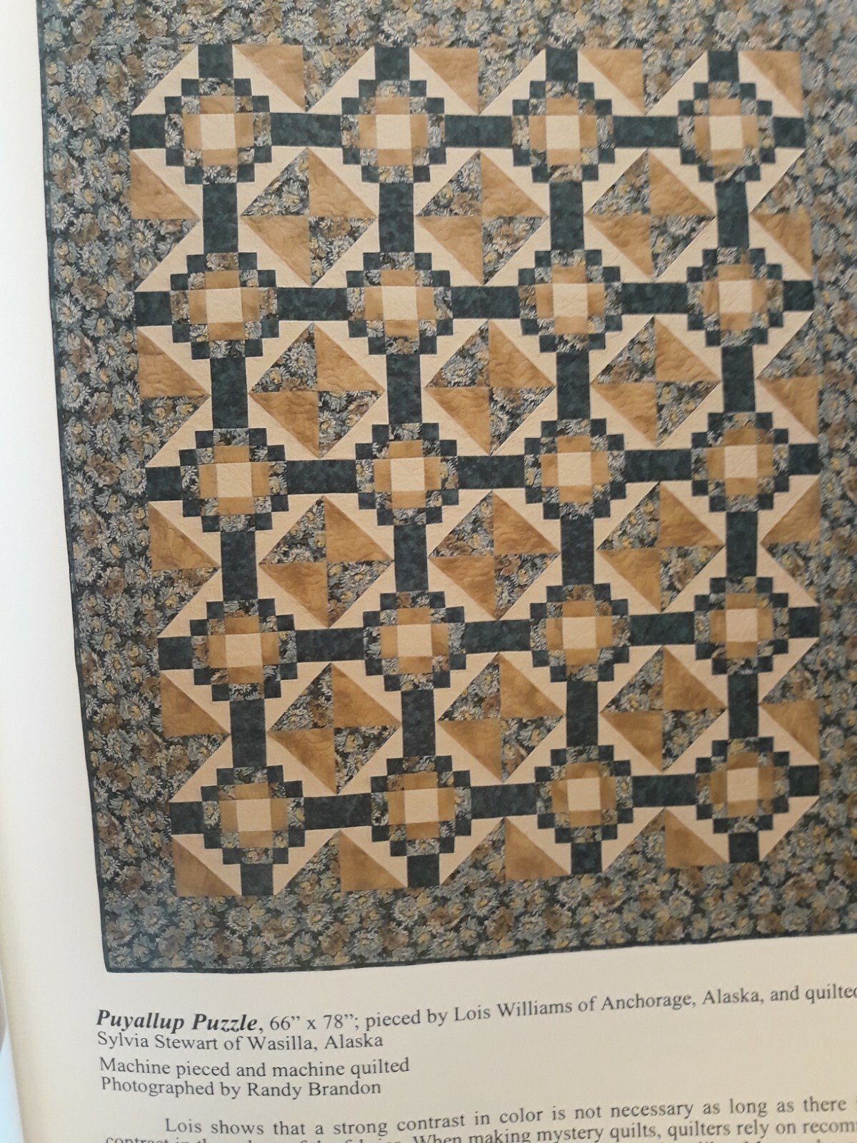 Scraps to You Too Debbie Caffrey Pieced Quilt patterns | eBay