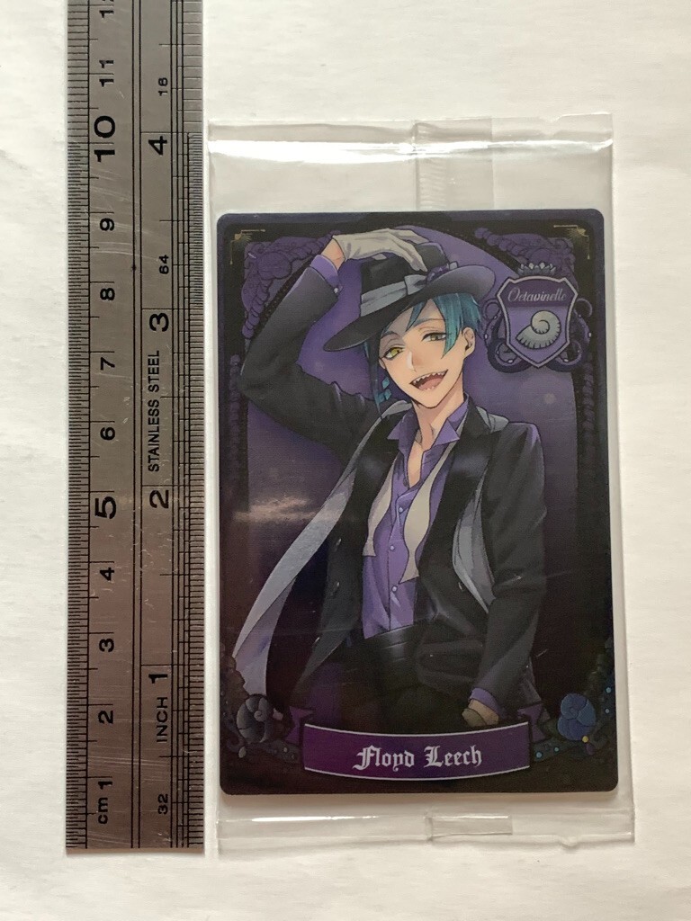 Floyd Leech Disney Twisted Wonderland Plastic card Japanese collection ...
