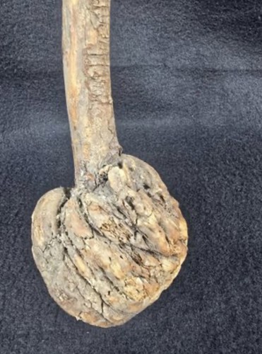 Carved Burl Wood Root Knot Ball War Club Stick Weapon Cudgel Hammer 25 ...