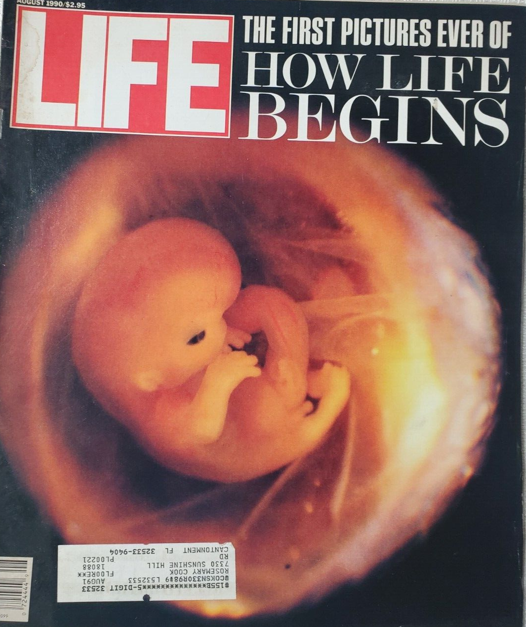 LIFE Magazine The First Pictures Ever of How Life Begins August 1990 | eBay