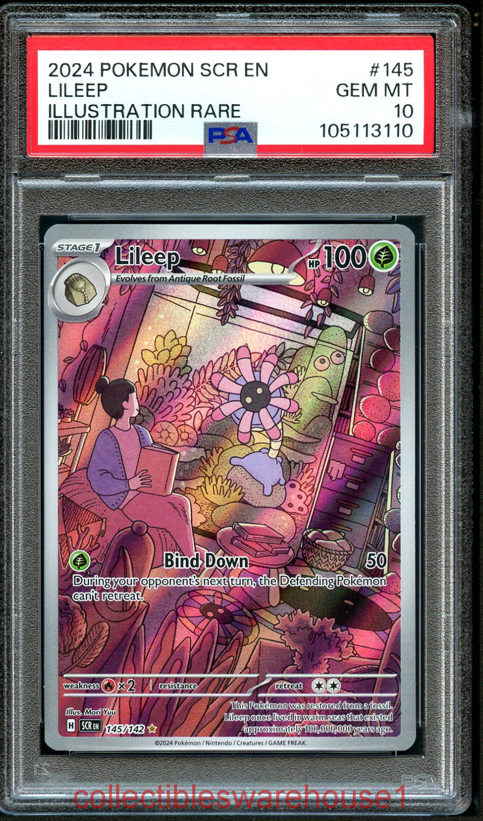 Lileep 2024 Scarlet & Violet: Stellar Crown #145/142 Illustration Rare ...